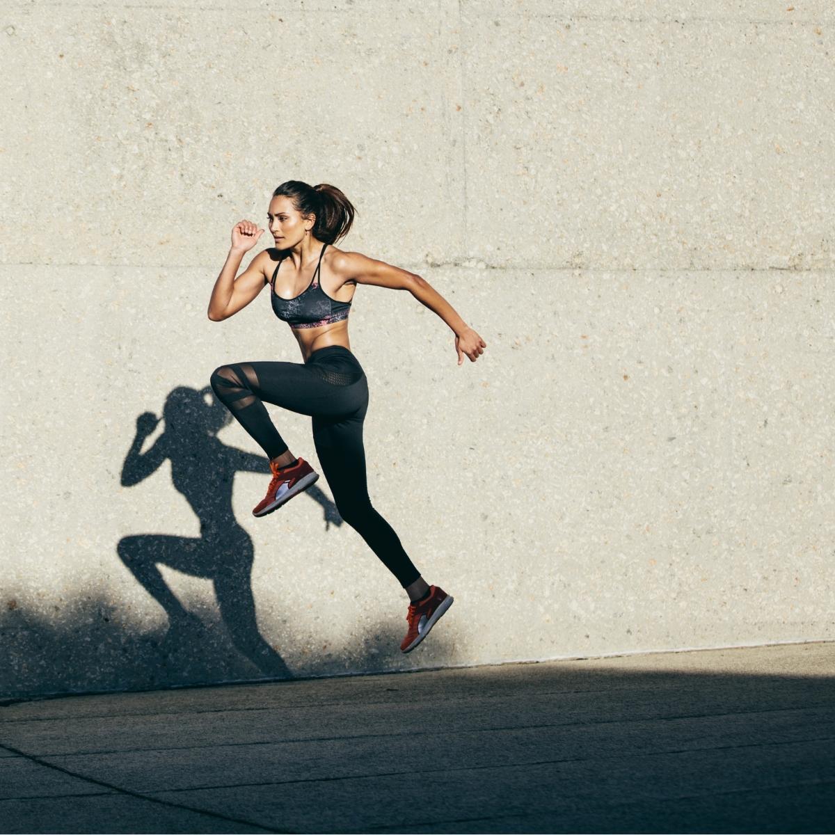 Toleransevinduet | NEUROFIT